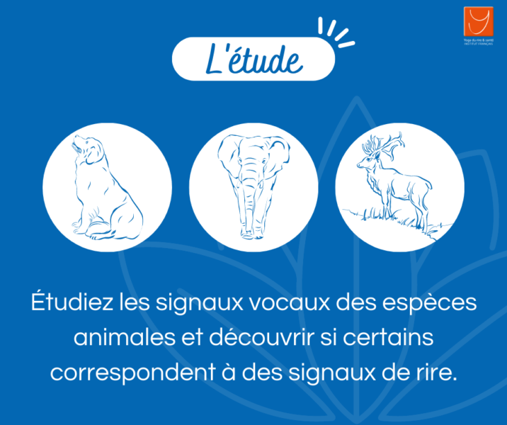 Les animaux rient-ils ? | Yoga du Rire & Santé